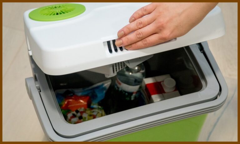 How to Keep Frozen Food while Traveling