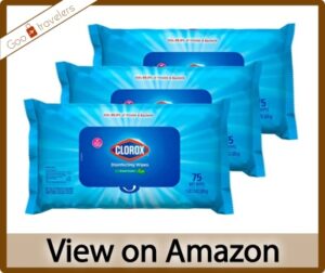 5 Best Disinfectant Wipes for Airplane - Goo Travelers